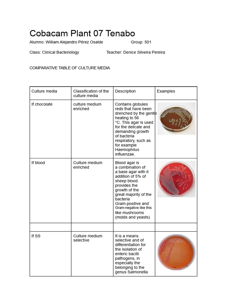 William Alejandro Perez Osalde - Comparative Chart of The ...