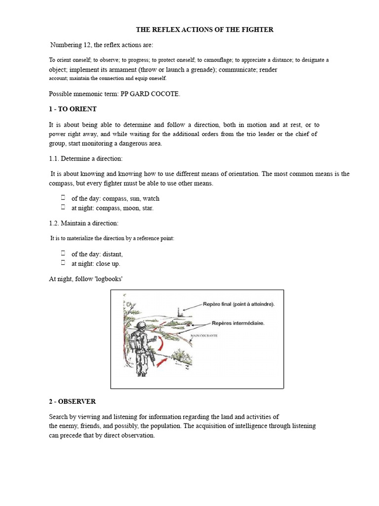Revision Reflex Acts | PDF | Camouflage | Fighter Aircraft