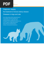IRIS CKD Staging Guide for Dogs and Cats | PDF | Chronic Kidney Disease ...