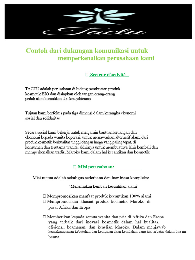 Contoh media komunikasi untuk memperkenalkan perusahaan kami | PDF