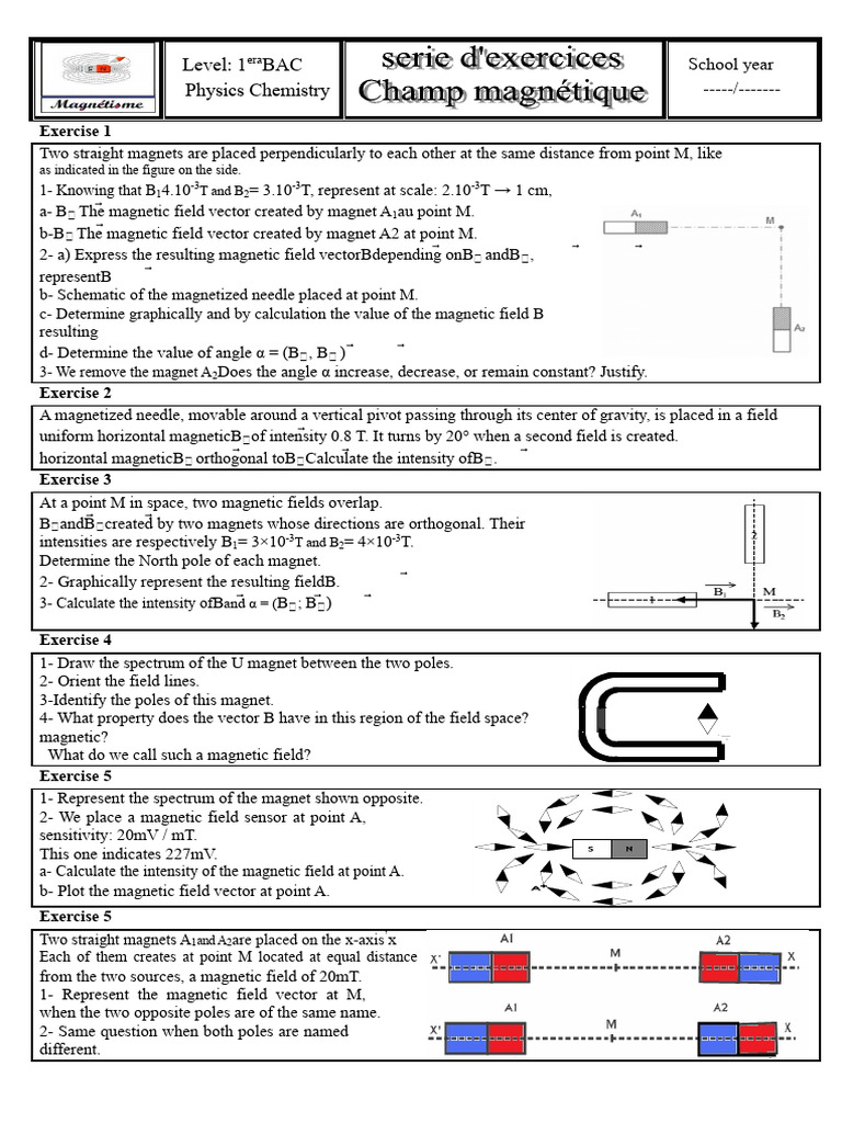 The Magnetic Field Uncorrected Exercises 2 | PDF | Magnetic Field ...
