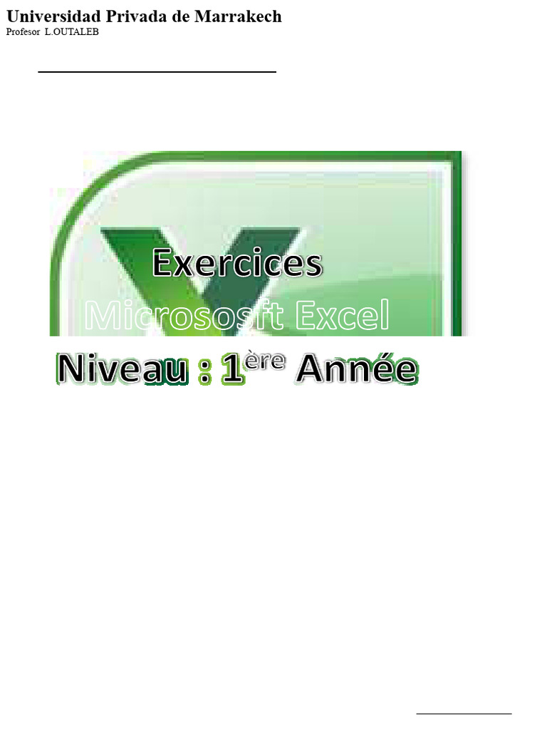 Ejercicio de Excel 1er Año - Nivel 1 | PDF | Microsoft Excel