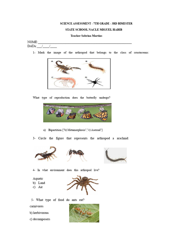 Science Assessment 7th Grade - Special Education | PDF