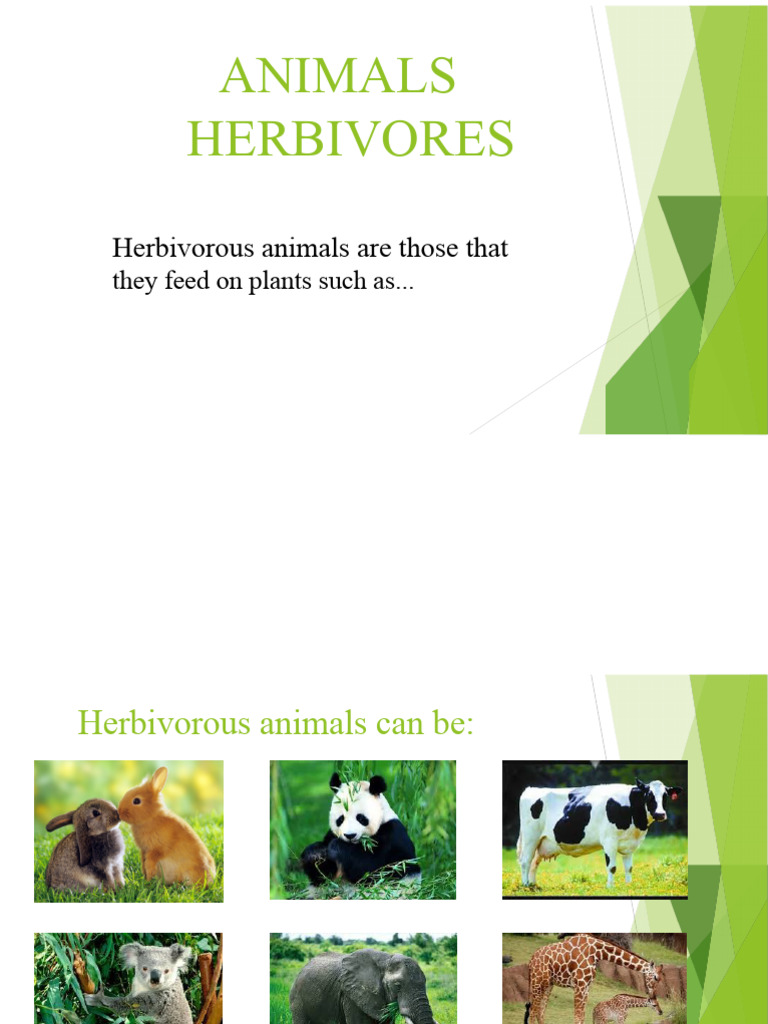 Herbivorous Animals | PDF