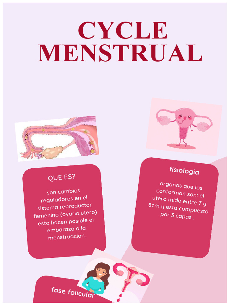 Infographic Menstrual Cycle | PDF