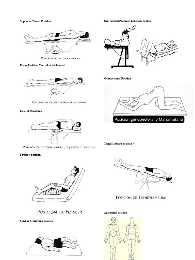 Supine or Dorsal Position | PDF