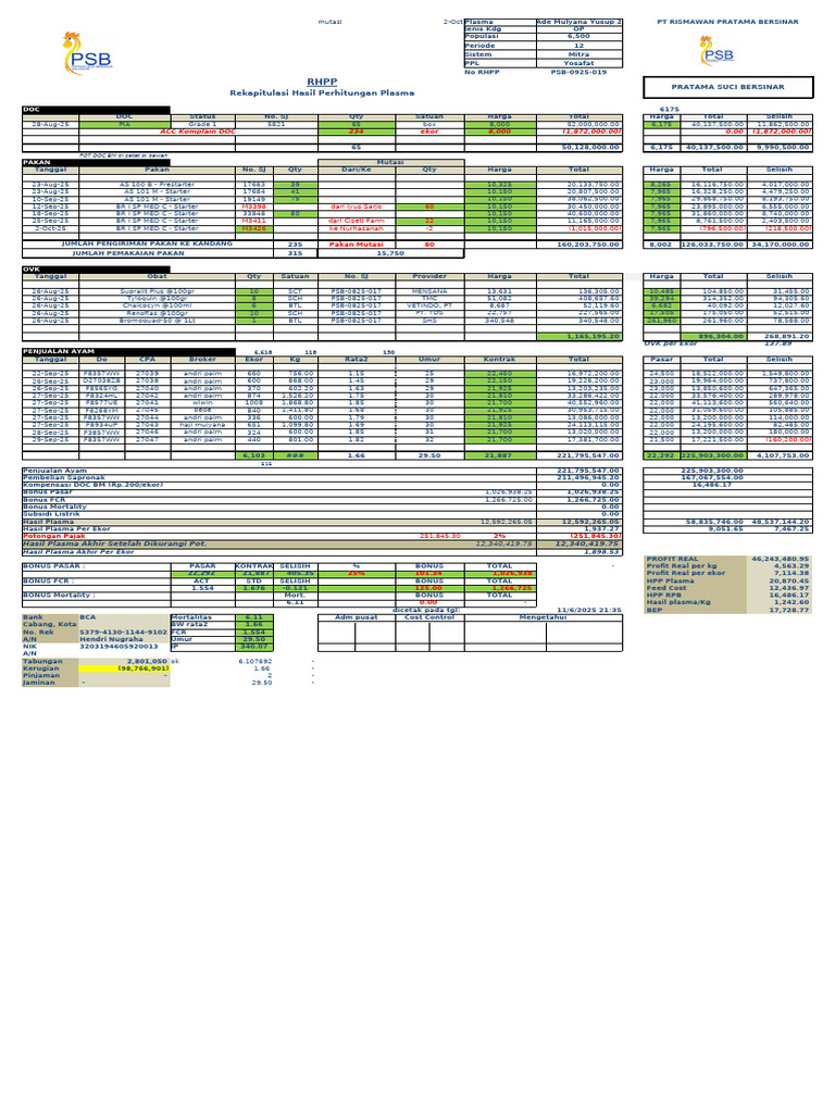 19. RHPP - Ade Mulyana Yusup 2 (12) | PDF