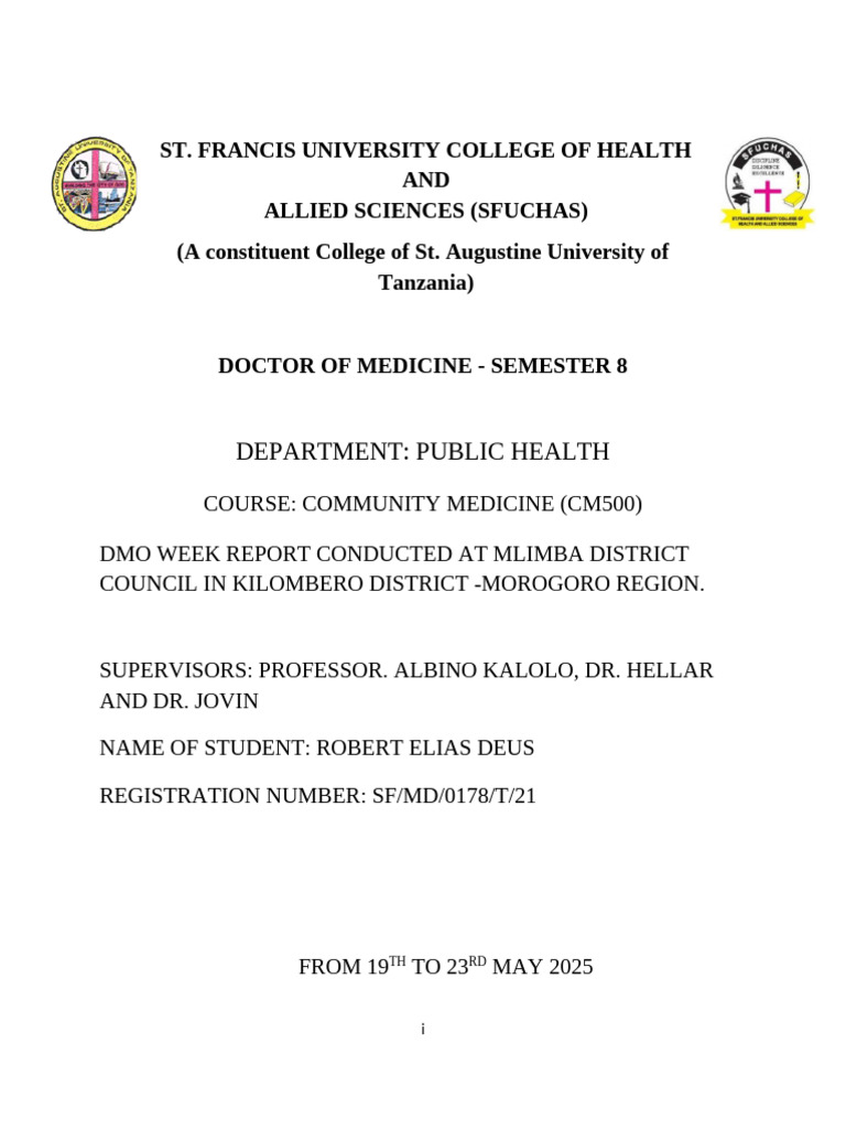 Robert Deus Dmo Report | PDF | Malaria | Preventive Healthcare