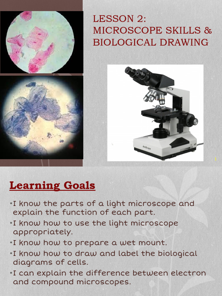2 Microscope & Bio Drawings | PDF | Microscope | Electron Microscope