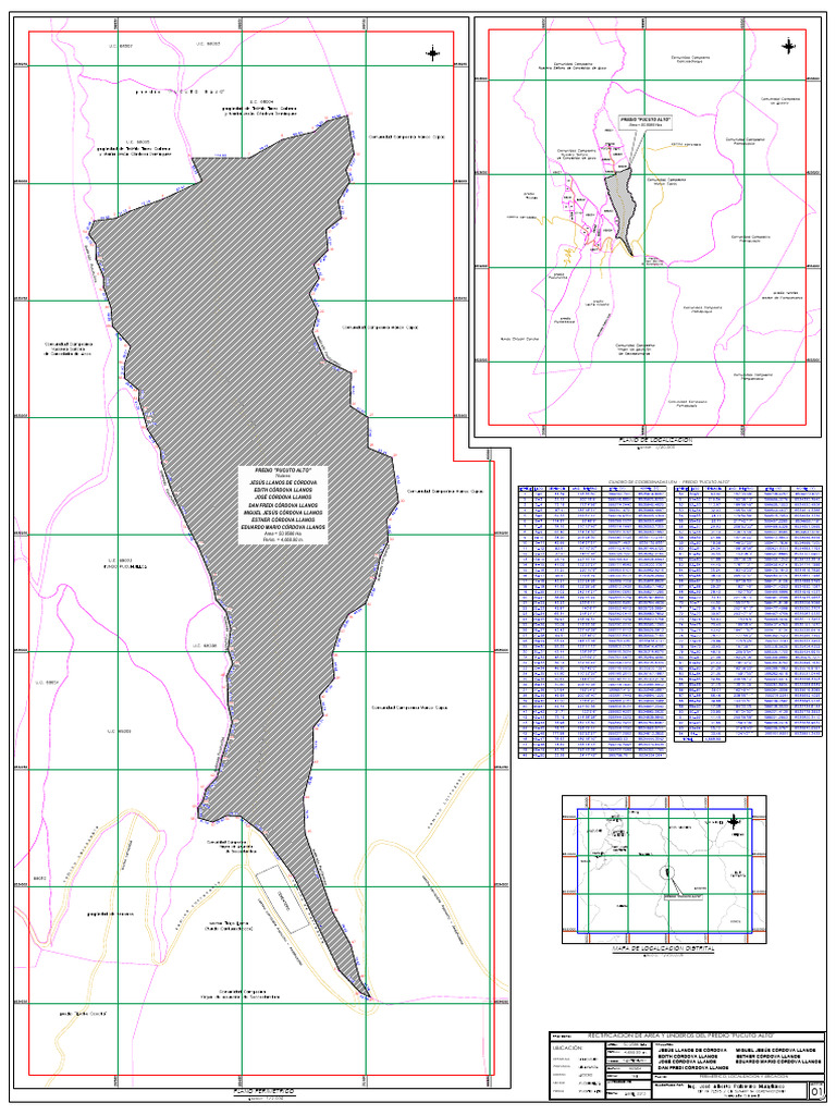 Plano Matriz | PDF