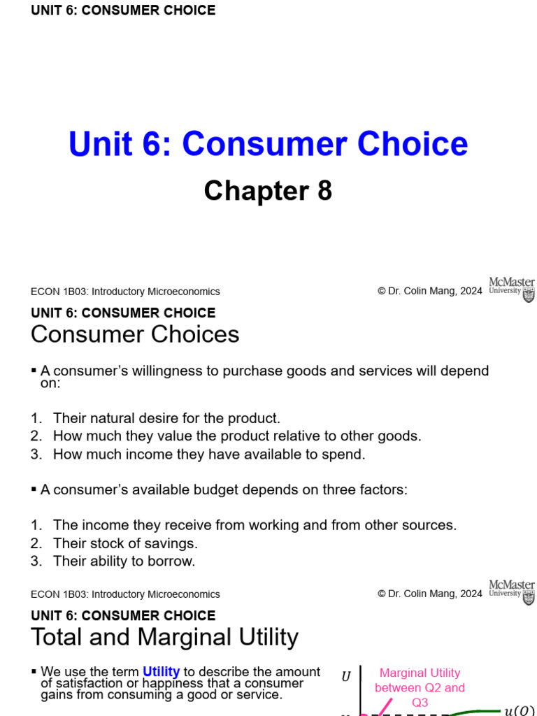 Unit 6 Consumer Choice Lecture | PDF | Utility | Risk