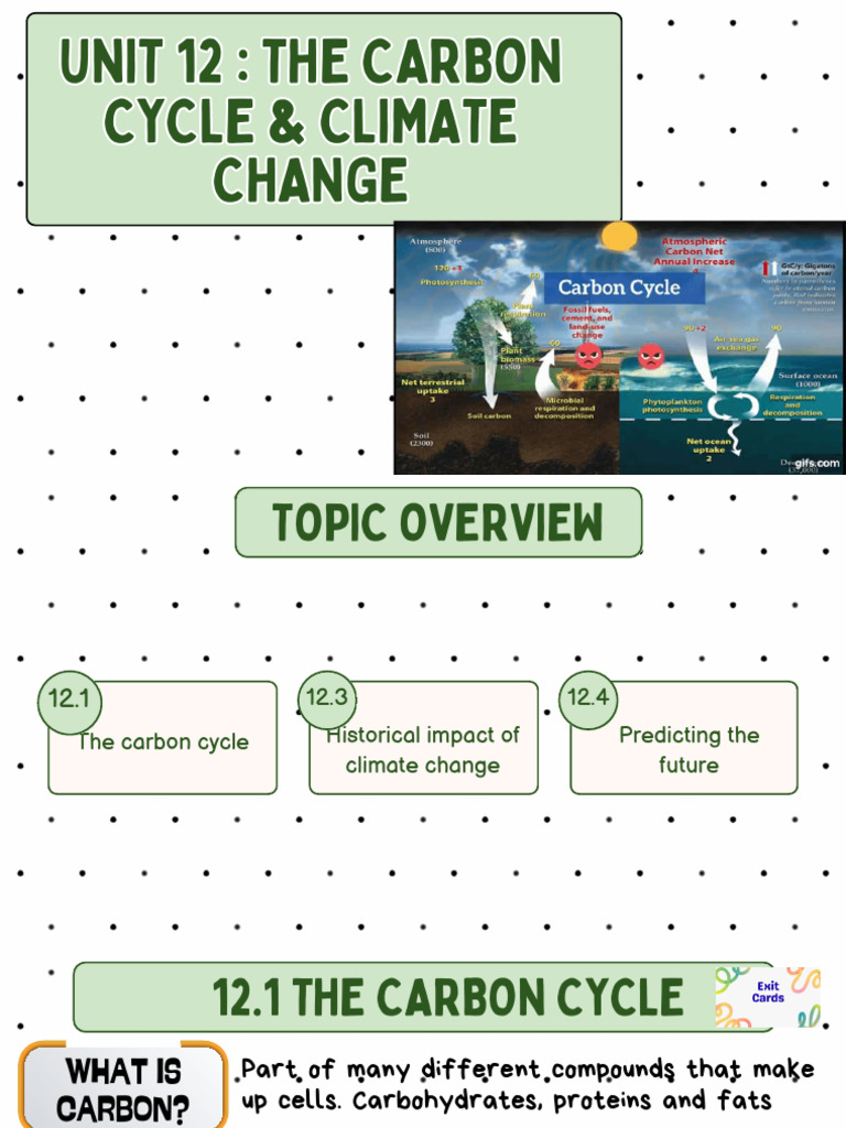 Unit 12 The Carbon Cycle | PDF | Carbon Cycle | Climate Change