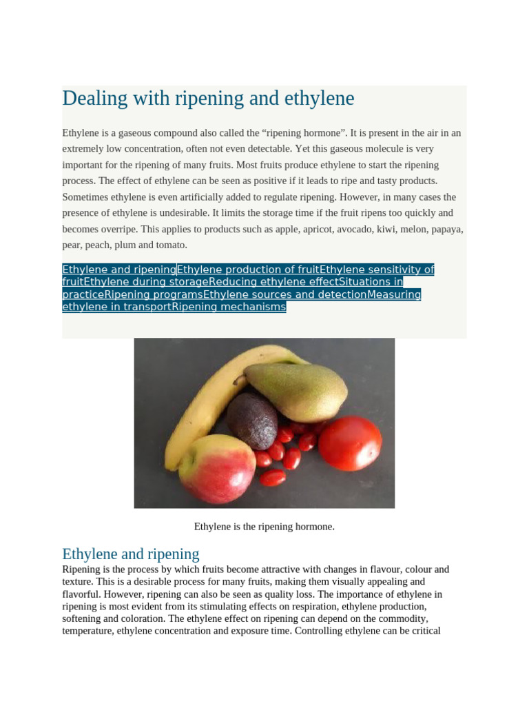 Ethylene's Role in Fruit Ripening | PDF | Fruit
