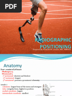 X-Ray Positioning for Toes and Sesamoids | PDF
