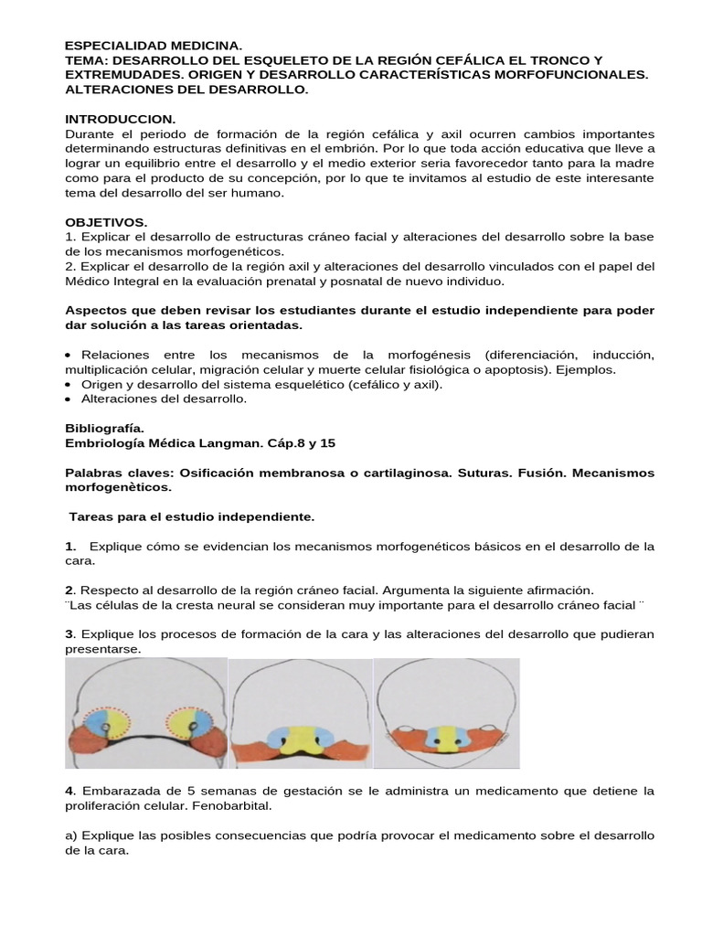 Guia Clase Taller Soma | PDF | Morfogénesis | Embrión