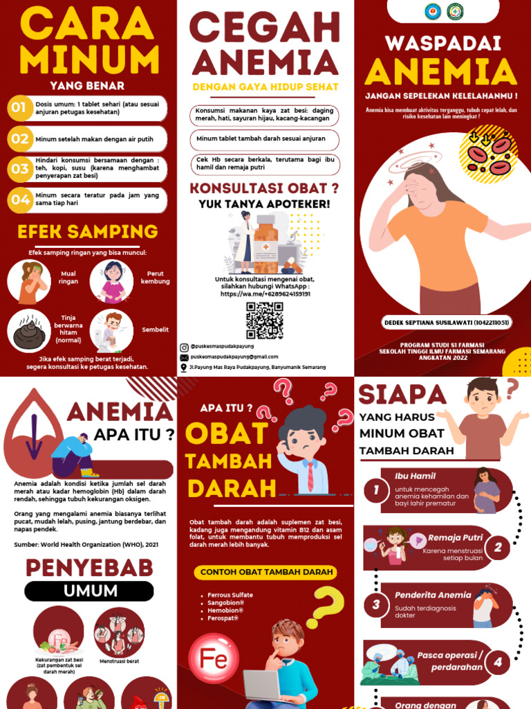 Cara Efektif Cegah Anemia dengan Suplemen | PDF