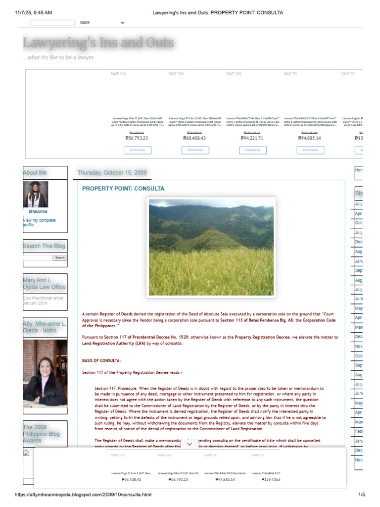 Lawyering's Ins and Outs - Property Point - Consulta | PDF | Property Law | Natural Resources Law