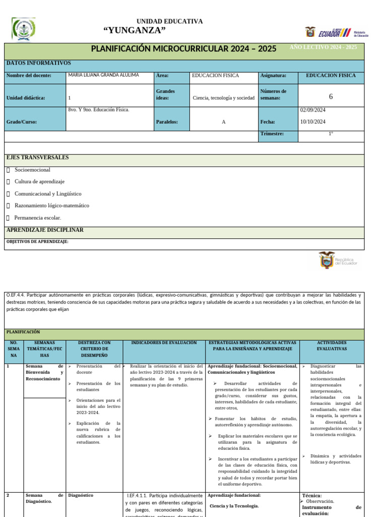 Planificacion de Educacion Fisica 8vo. | PDF | Aprendizaje | Evaluación