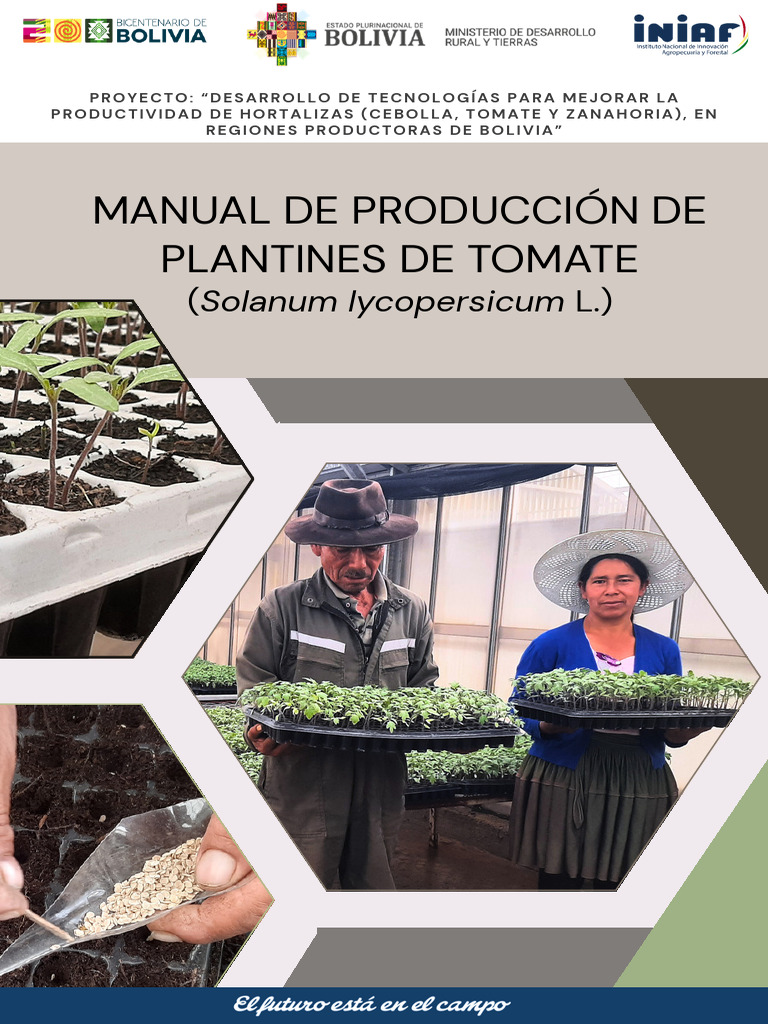 Manual de Producción de Plantines de Tomate (Solanum Lycopersicum L ...