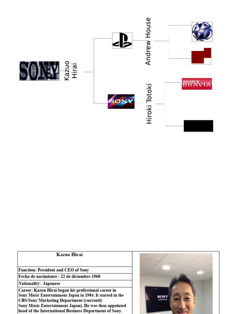 Sony Leadership Overview | PDF