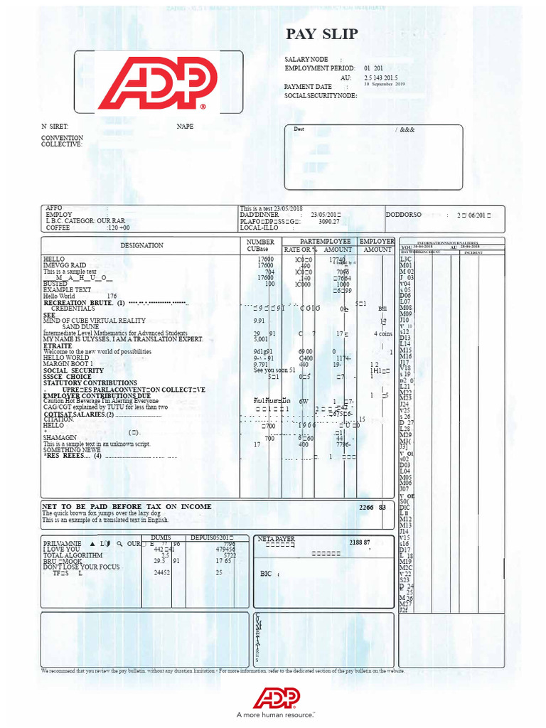 Anonymous Payslip January 2019 | PDF | Employment Compensation | Expense