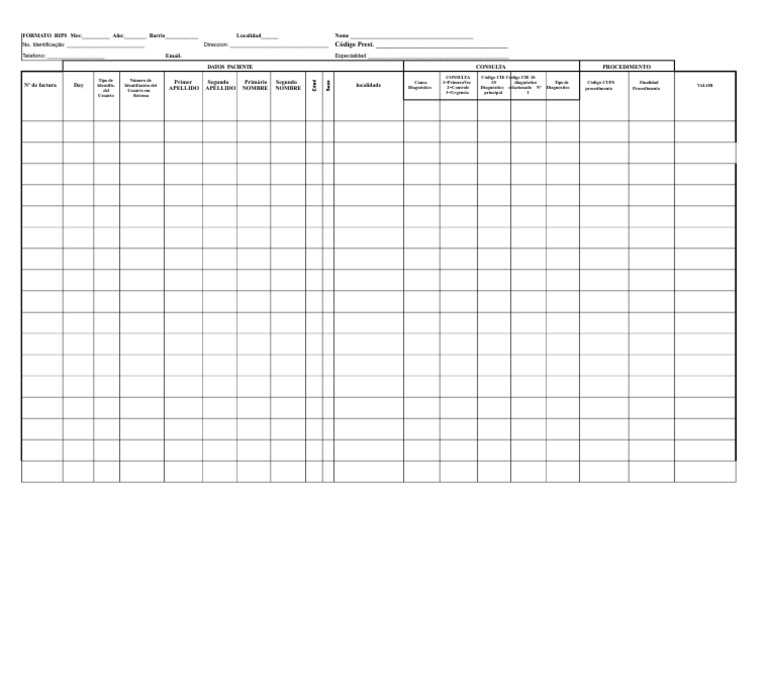 Formato Rips Preencher em Excel | PDF