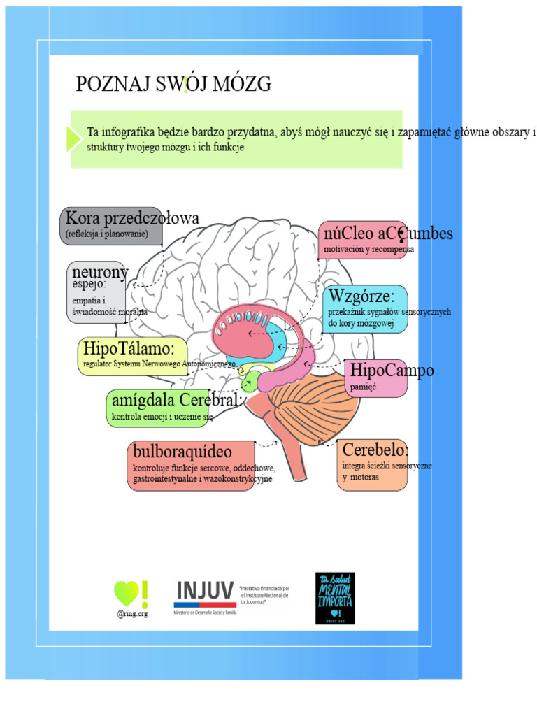Poznaj Swój Mózg | PDF