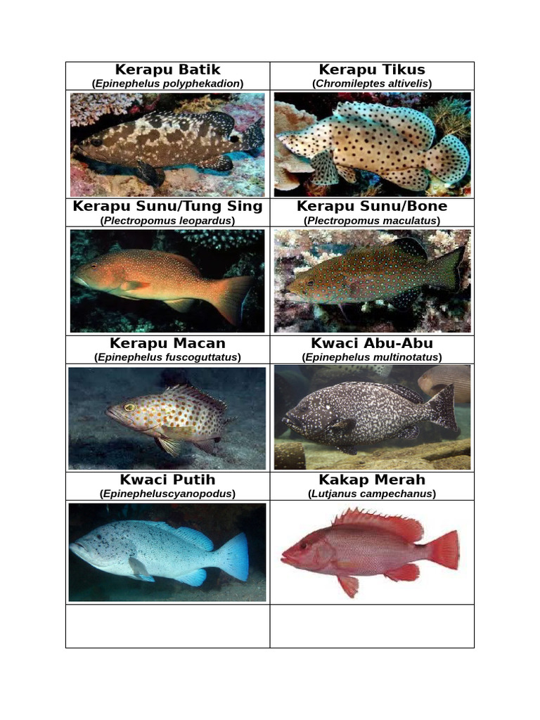 Jenis-Jenis Ikan BMD | PDF