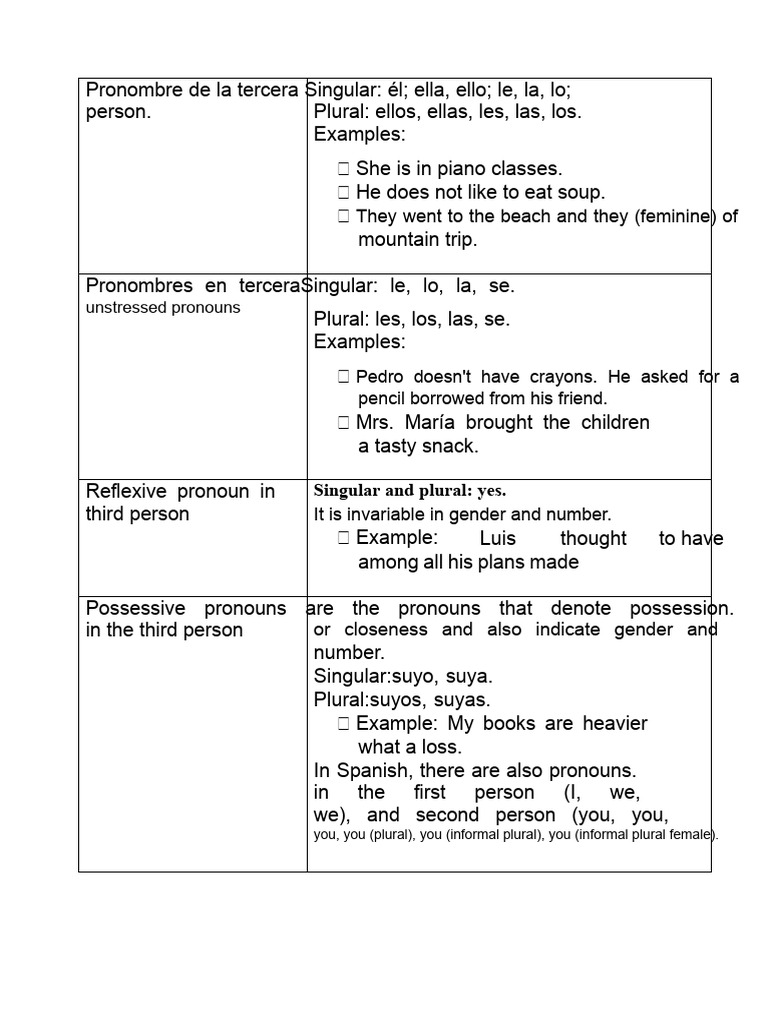 Third Person Possessive Pronouns | PDF