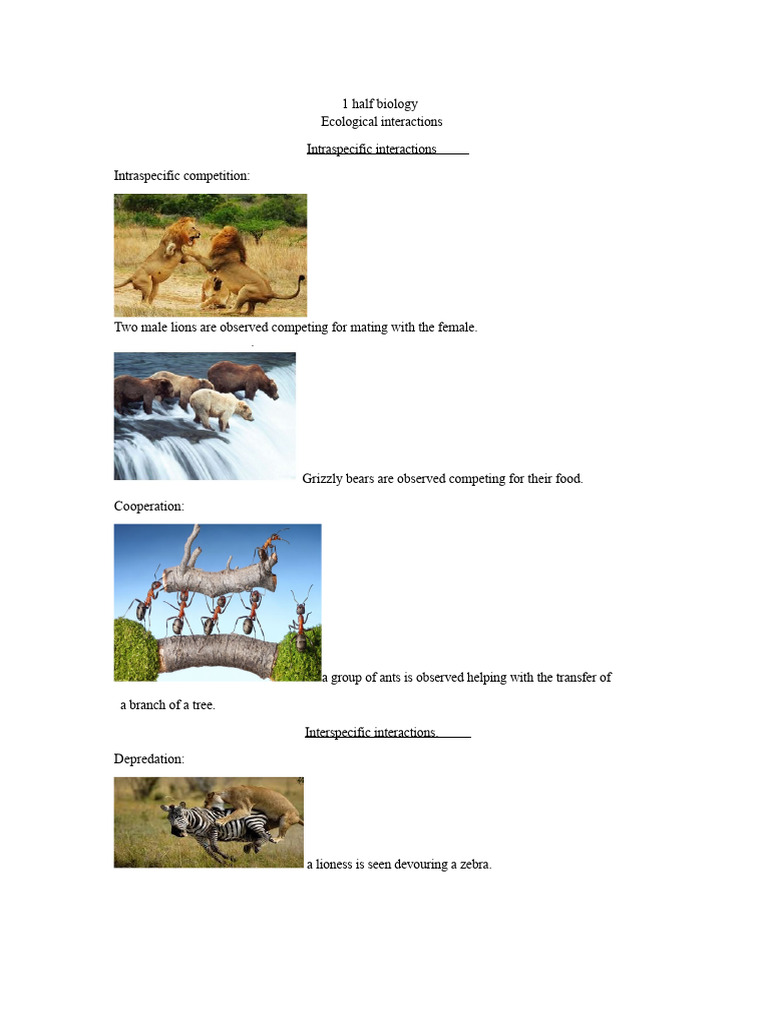Images of Ecological Interactions | PDF