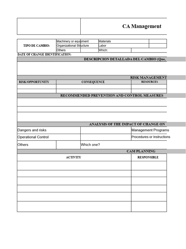 Change Management Format | PDF