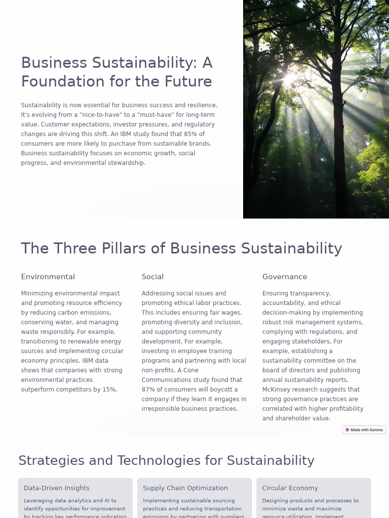 Business Sustainability A Foundation For The Future | PDF ...