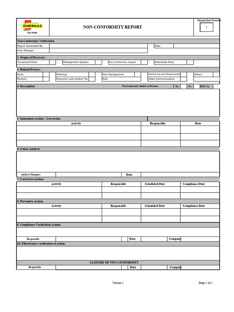 Non-Conformity Report Format | PDF