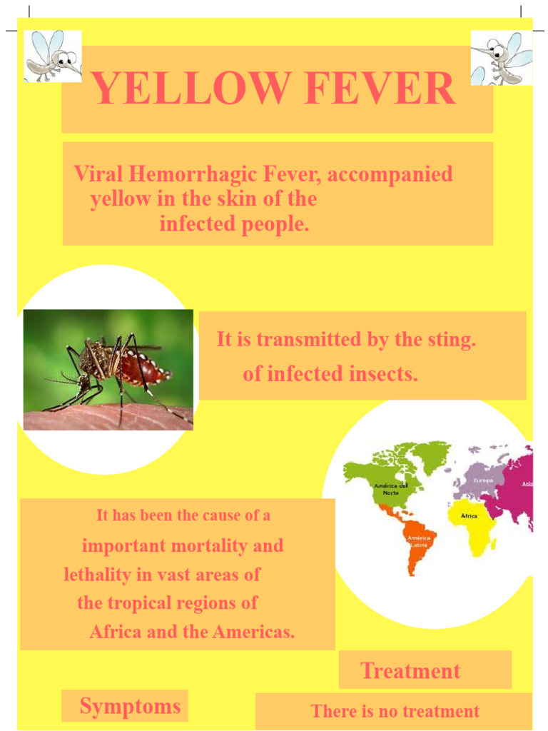 Yellow Fever: Symptoms and Impact | PDF