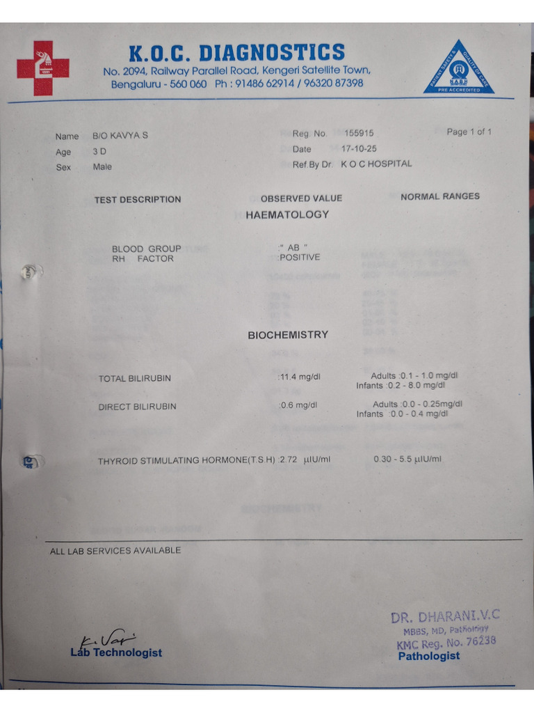 Lab Reports | PDF