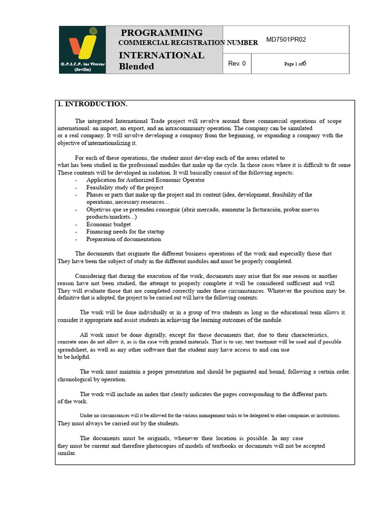 International Trade Project Guidelines | PDF | Seville | Marketing