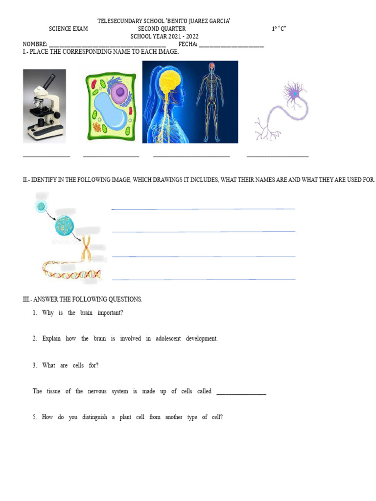 Middle school science exam first grade second trimester | PDF