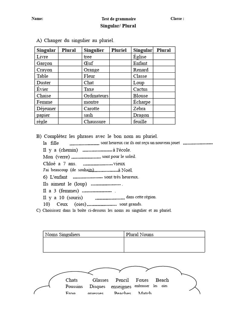 Test de grammaire : Singulier et Pluriel | PDF