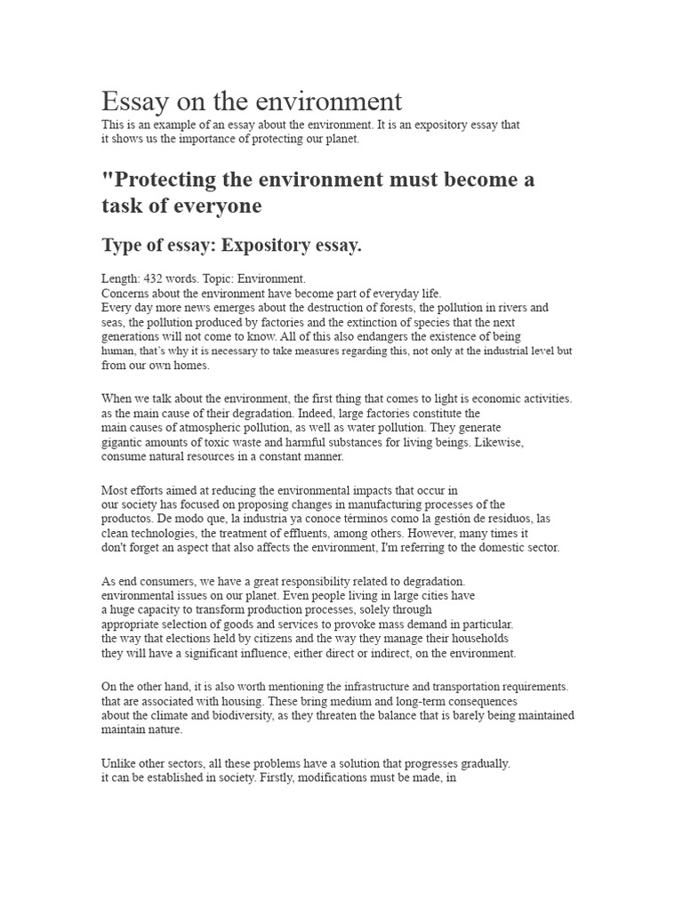 Essay On The Environment | PDF | Sustainability | Pollution