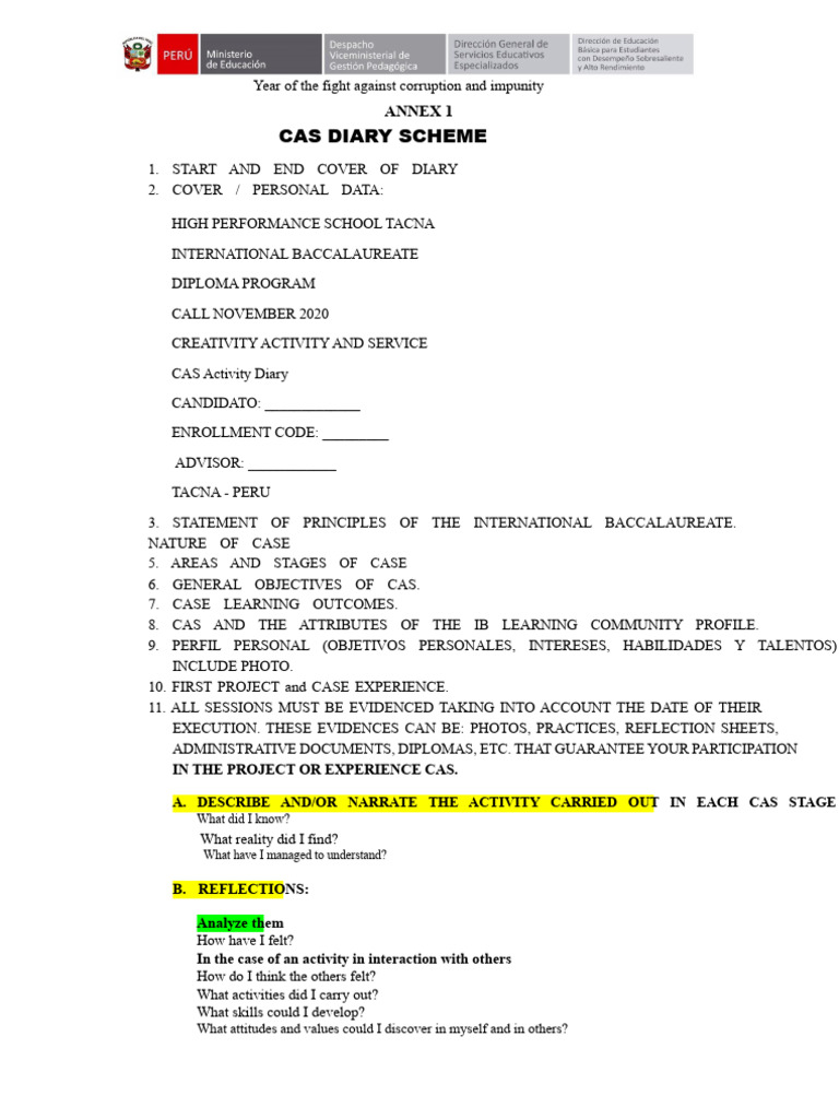 Outline For The Preparation of The CAS Diary | PDF