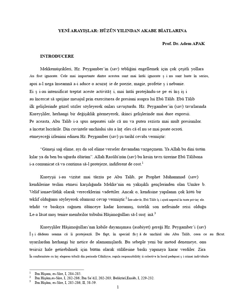 Prof DR Adem Apak | PDF