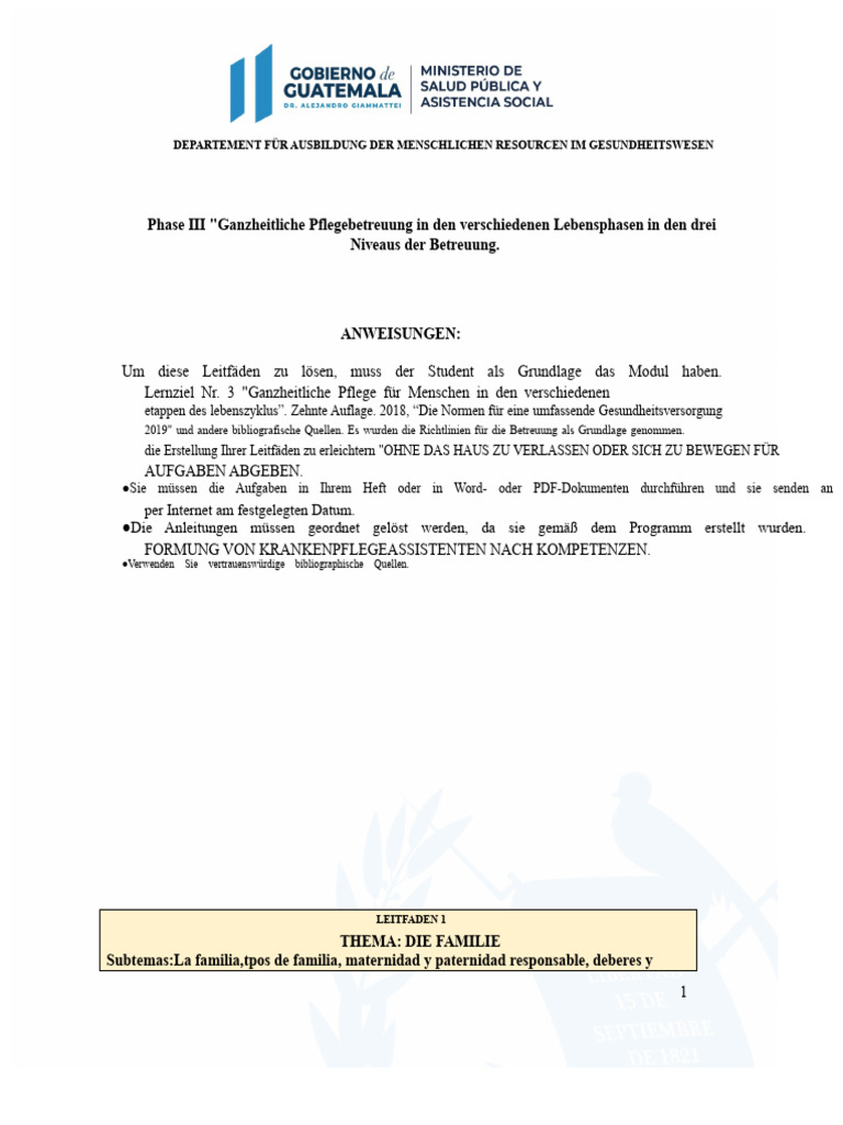 Leitfäden 9 der III Phase Fernarbeit 2020 Zwei (1) | PDF