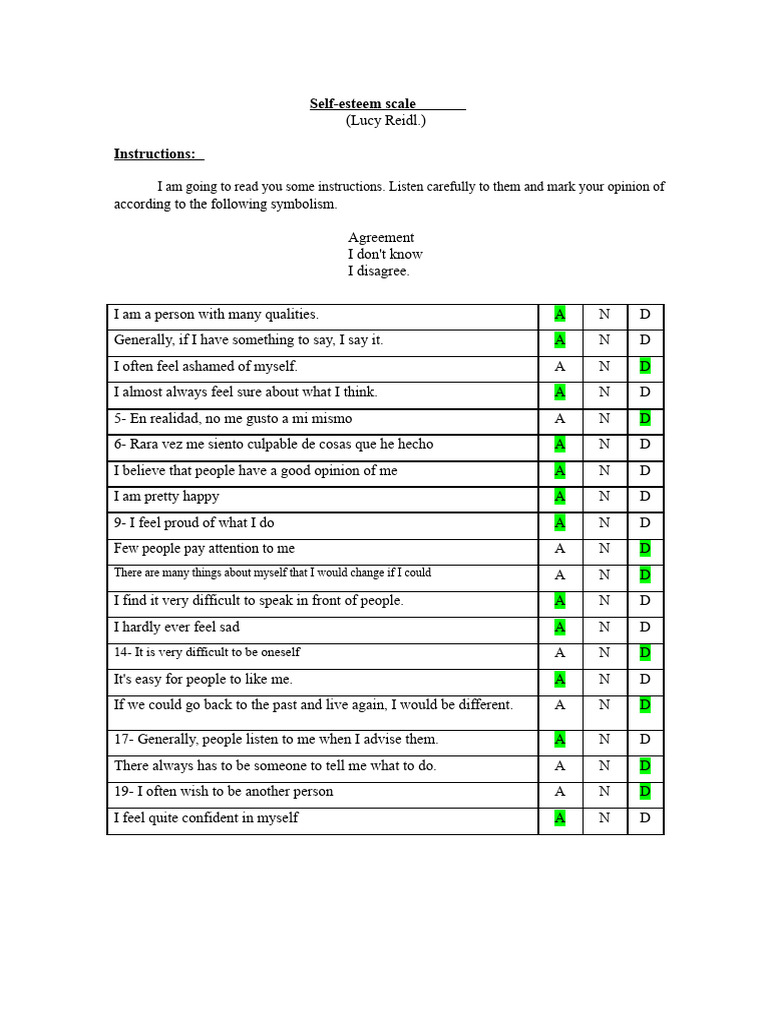 Self-Esteem Assessment Scale Guide | PDF