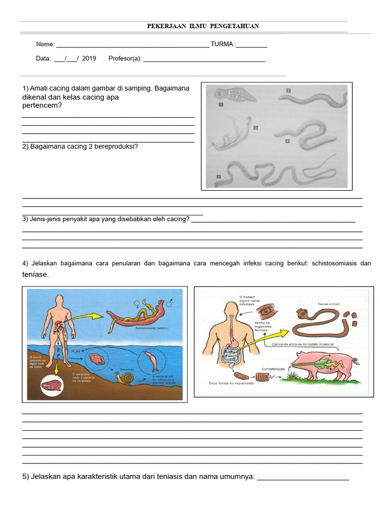 Penyakit Cacing dan Pencegahannya | PDF