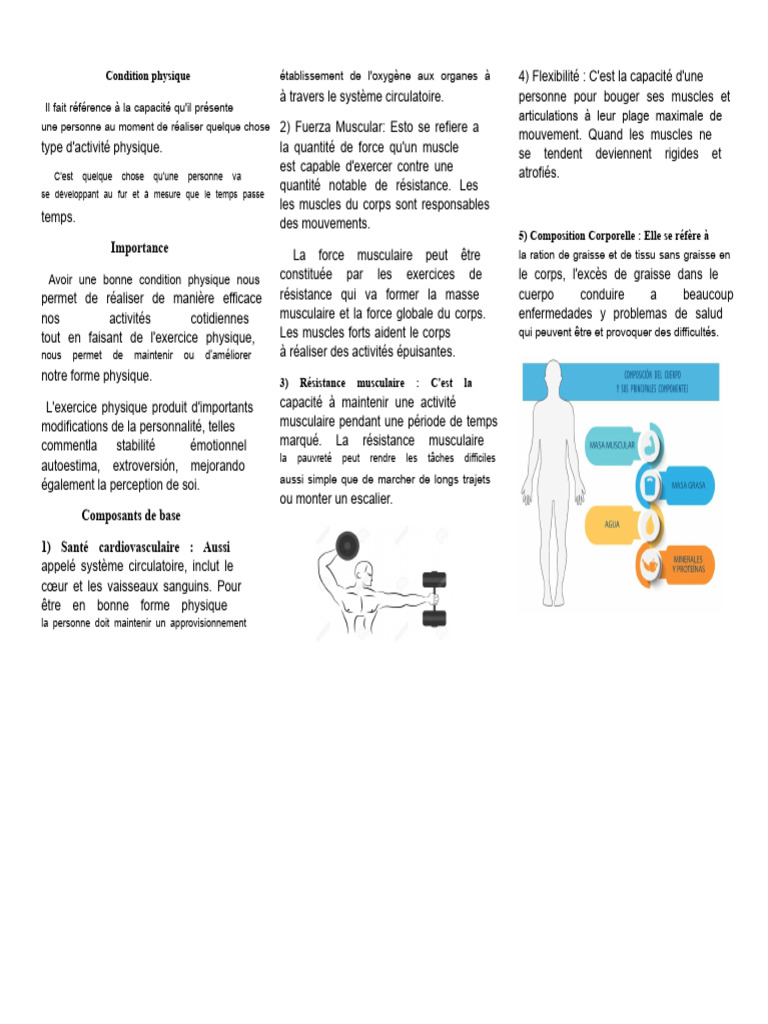 Composants de la condition physique | PDF | Muscle