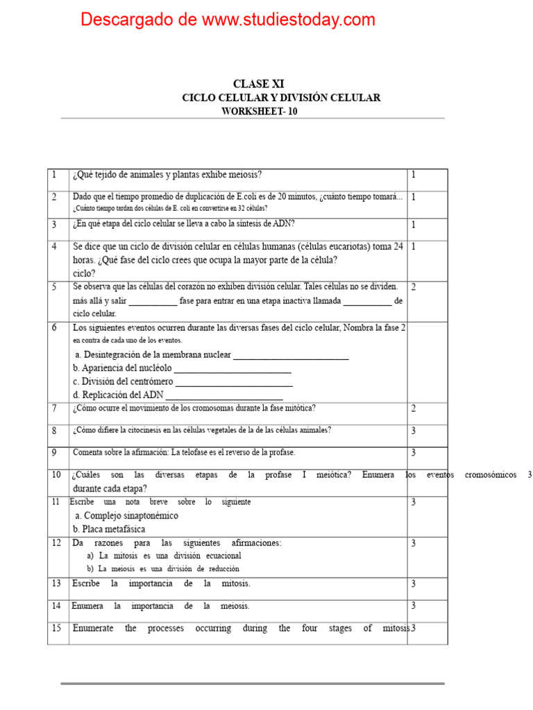 Hoja de Trabajo de Biología de Clase 11 de CBSE - Ciclo Celular y ...