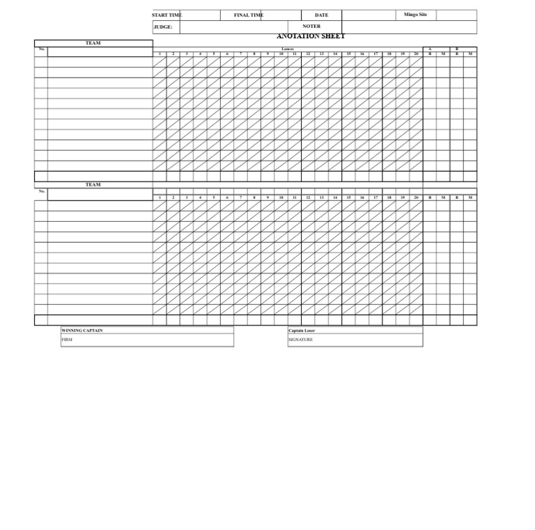 Game Sheet Without Logo | PDF