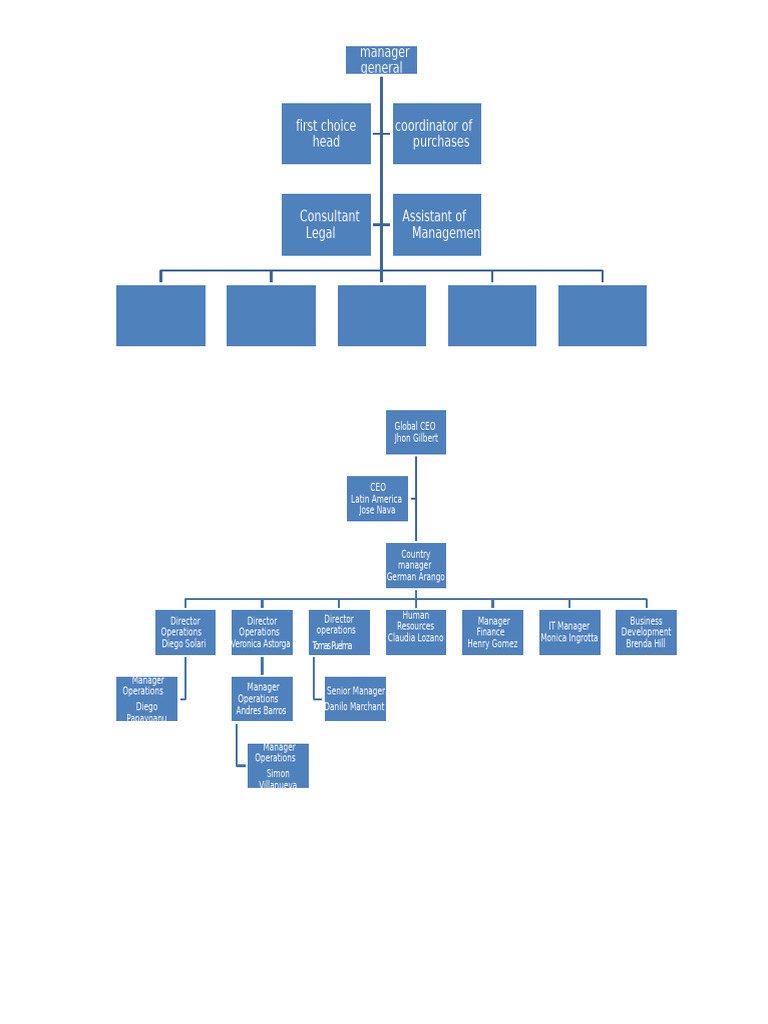 DHL Organizational Chart | PDF