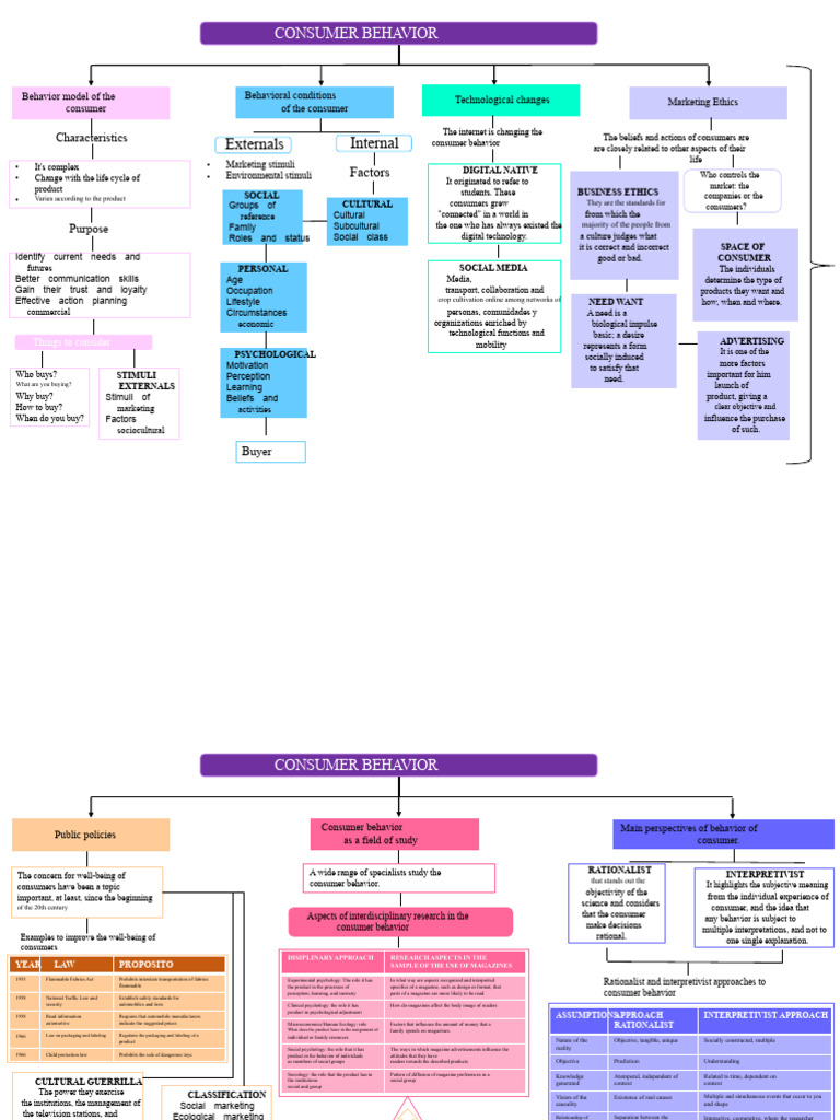 Concept Map | PDF | Behavior | Consumer Behaviour
