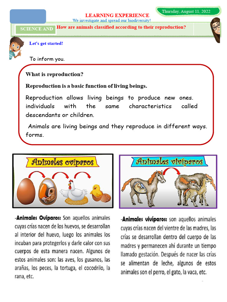 D4 A1 SHEET How are animals classified according to their reproduction ...